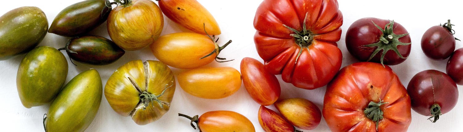 Paniers Etudiants : c'est reparti ! - Optim'ism