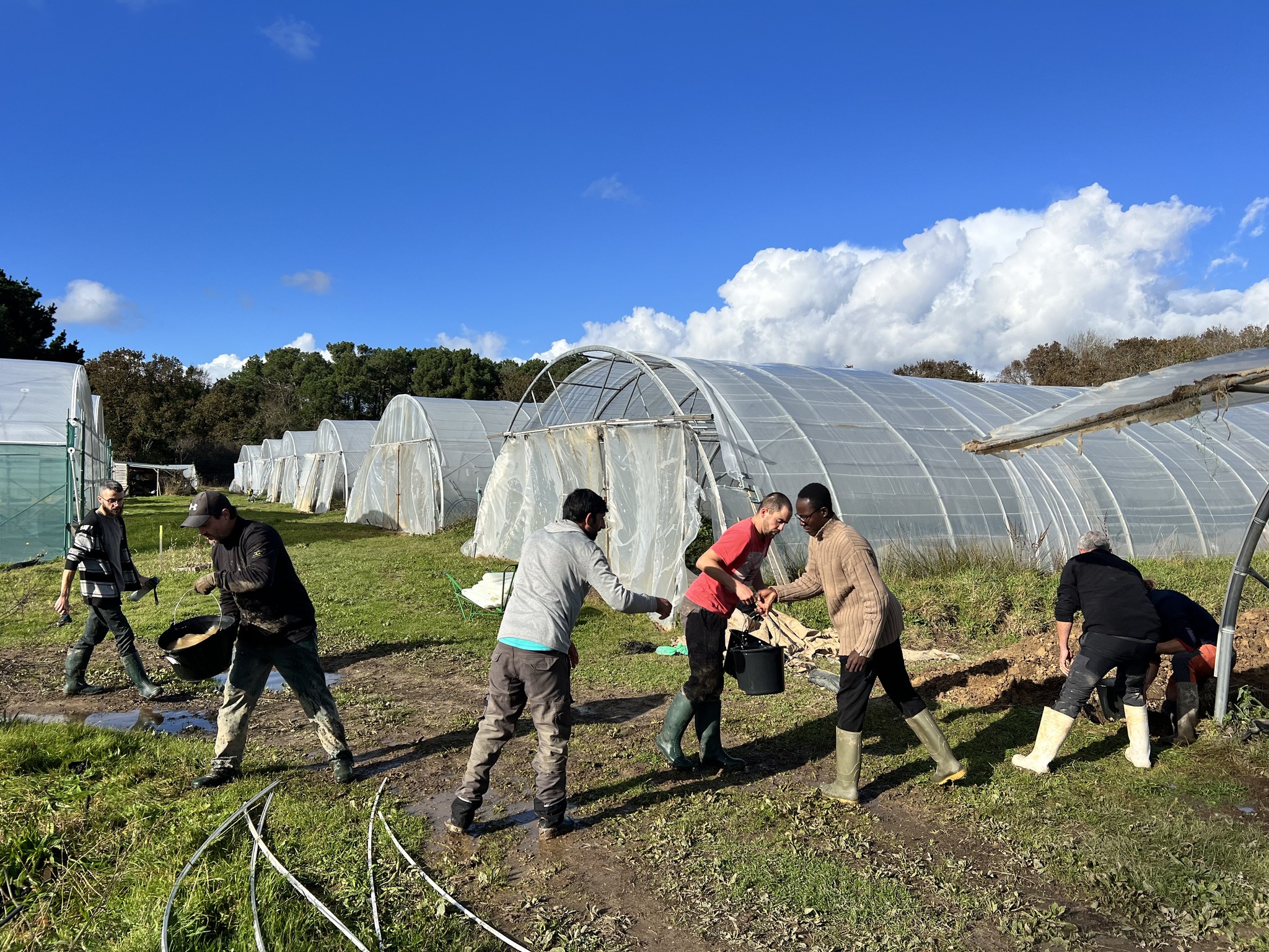 Rapports d'activité 2023 - Optim'ism